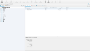 Getting Started With Perforce Command Line Software Engineering